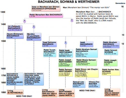 Frankfurt Project – Bacharach/Bachrach/Bacherach Surname DNA Project
